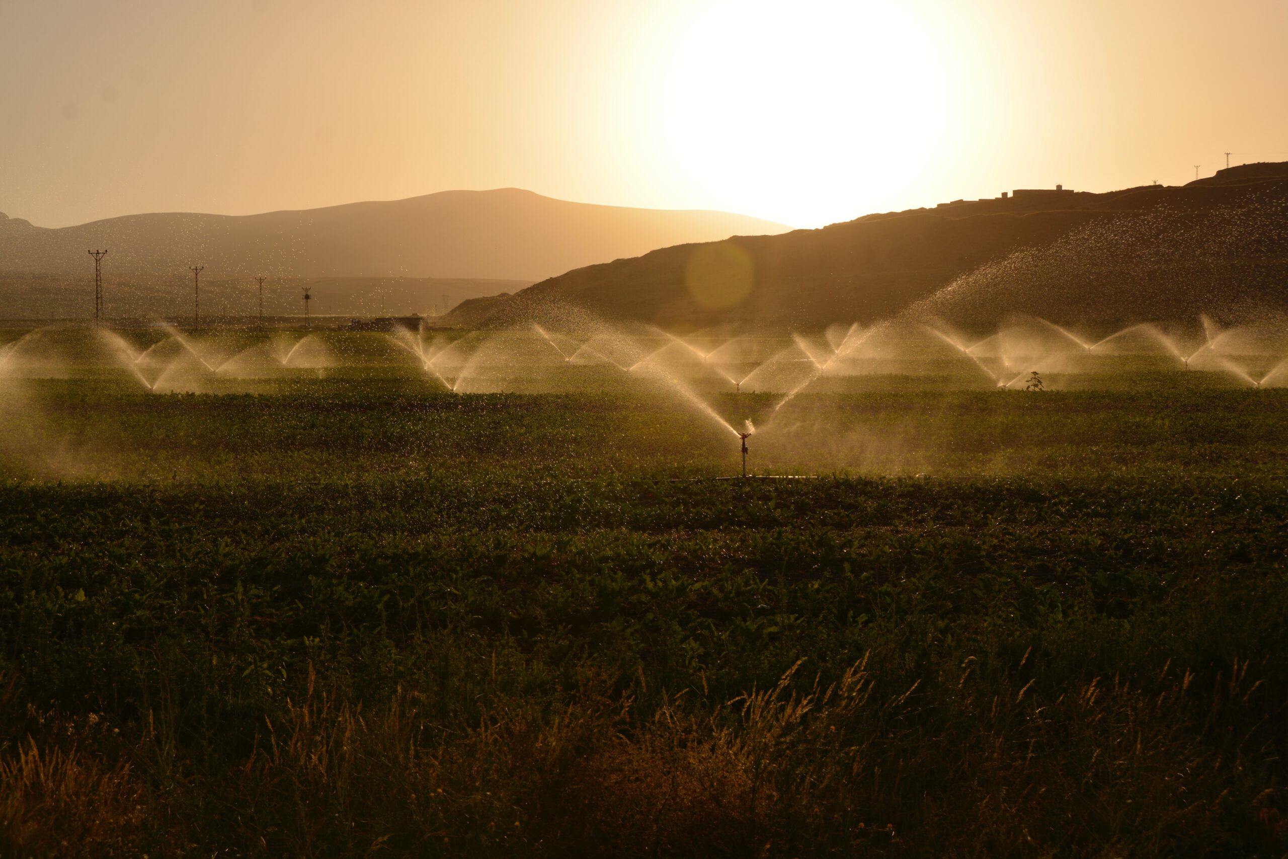 Israeli irrigation tech co N-Drip raises USD44 million - Israel Desks